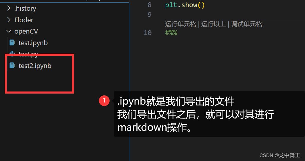 Python+OpenCV 零基础学习笔记(1-3):anaconda+vscode+jupyter环境配置_anacode vscode jupyter-CSDN博客