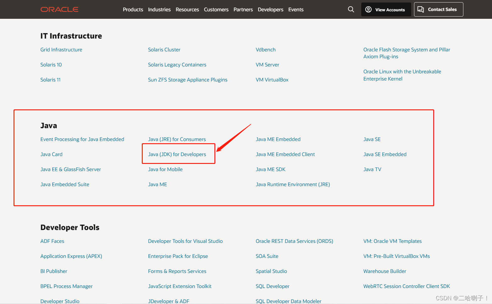 Java环境变量配置步骤及测试jdk的下载 And 安装 And 环境配置教程java环境测试 Csdn博客