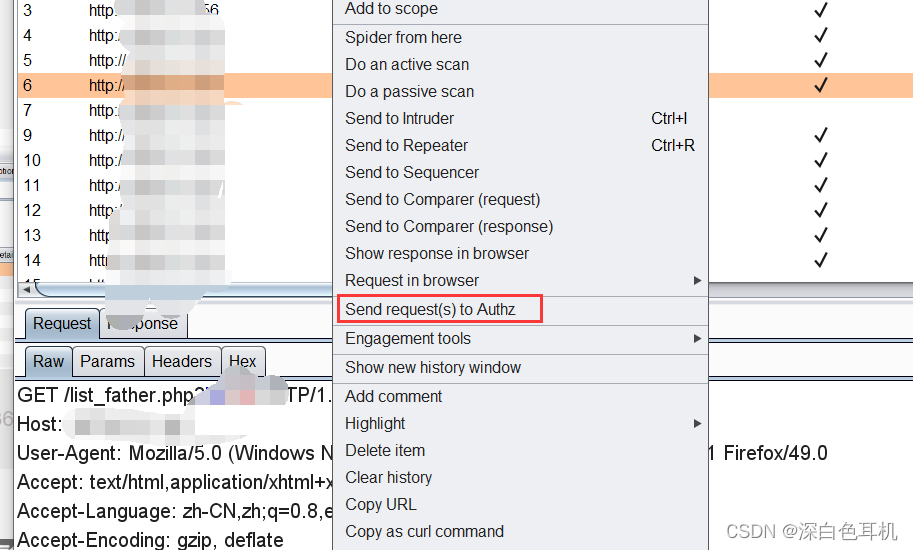burp插件Authz与HaE_hae插件-CSDN博客