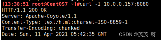 解决Apache Tomcat版本泄露，Apache-Coyote/1.1自定义_apachecoyote-CSDN博客