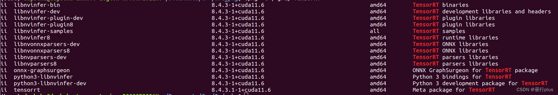 C++/Python 调用 Pytorch -＞ ONNX -＞ TensorRT 模型转换与部署_onnx转tensorrt-CSDN博客
