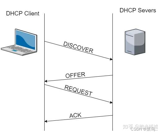 Wireshark抓包分析DHCP协议_wireshark dhcp-CSDN博客