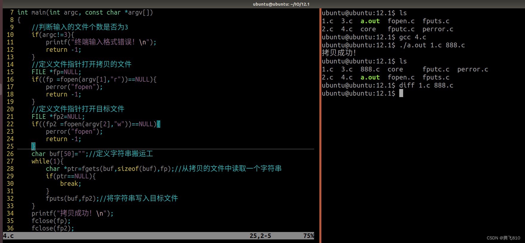 C语言fgets和fputs实例：行号统计与文件复制-CSDN博客