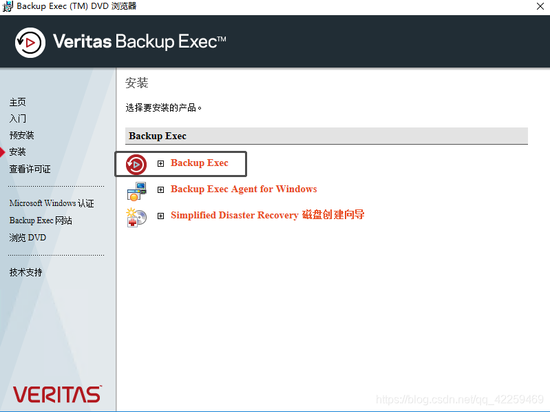 Veritas Backup Exec 21安装_NetBackup-CSDN专栏