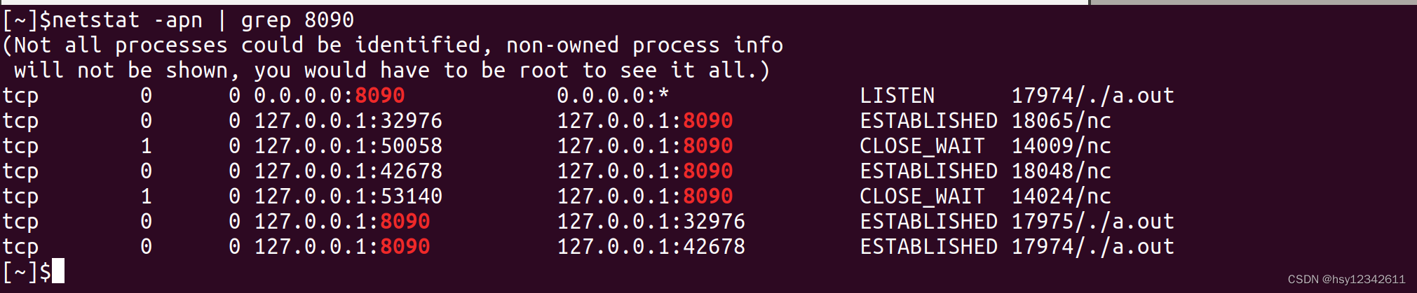 Linux下socket网络编程实战思考_linux socket-CSDN博客