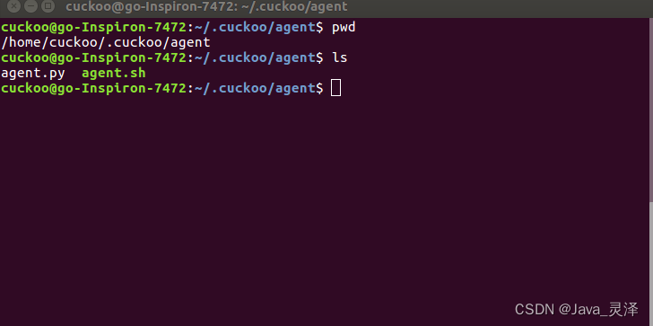 Ubuntu16.04安装Cuckoo SandBox_ubuntu安装cuckoo-CSDN博客