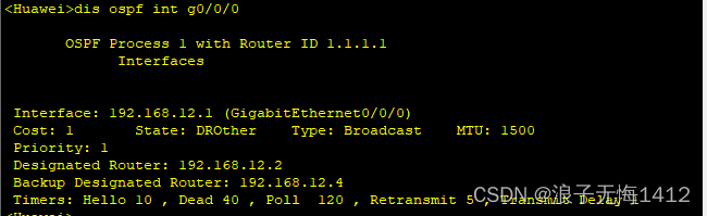 display查看命令_dis int link-info-CSDN博客
