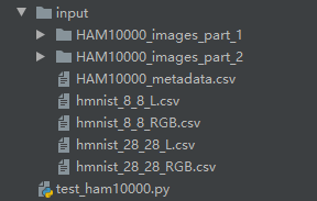 kaggle之皮肤癌数据的深度学习测试_kaggle数据集-CSDN博客