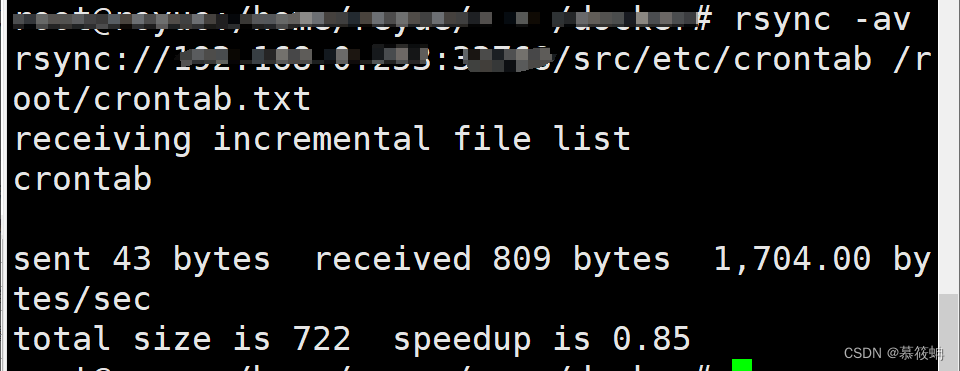 rsync未授权访问-CSDN博客