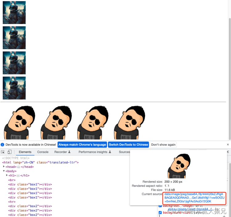 【快速搞定Webpack5】处理图片资源（四）_webpack5打包图片-CSDN博客