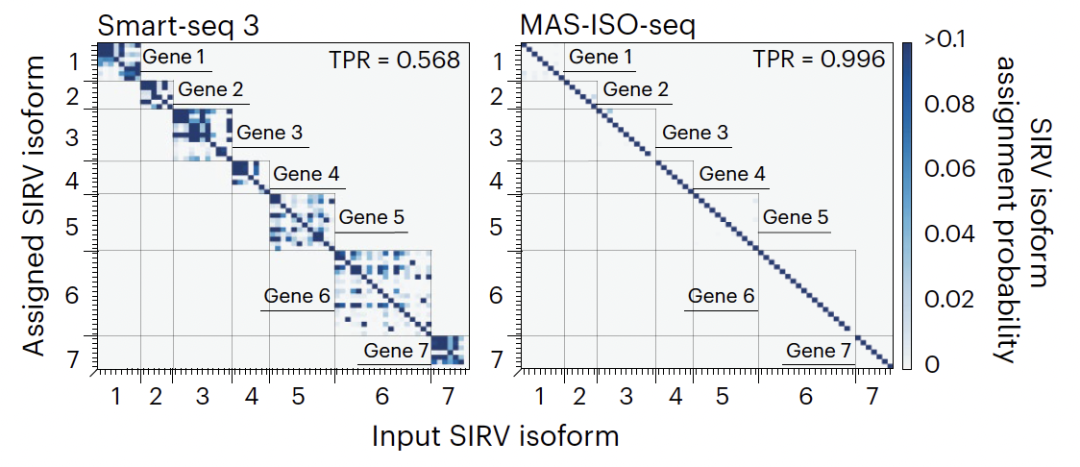 Nat Biotechnol｜MAS-Seq 方法学获生物科技领域权威期刊肯定_mas-iso-seq-CSDN博客