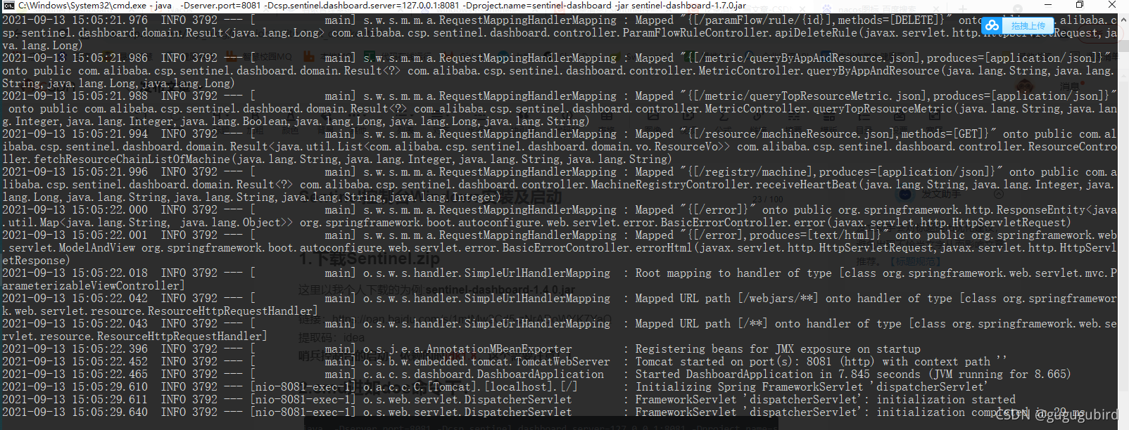 Sentinel控制台Windows安装及启动_sentinelwindows自启动-CSDN博客