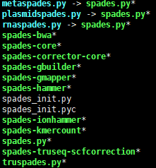 SPAdes混合组装二代、三代测序数据_spades质粒拼接-CSDN博客