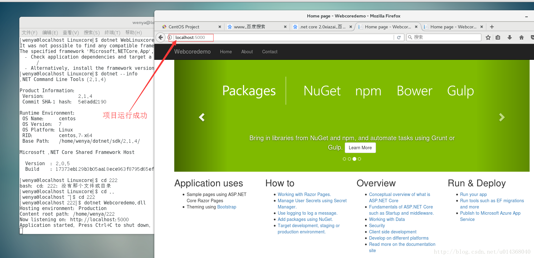 Linux安装.Net core 环境并运行项目_linux dotnet运行。netcore-CSDN博客