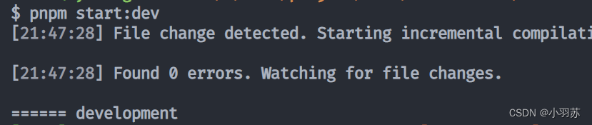 NestJS学习（一）：项目搭建与环境配置_nestjs配置文件-CSDN博客