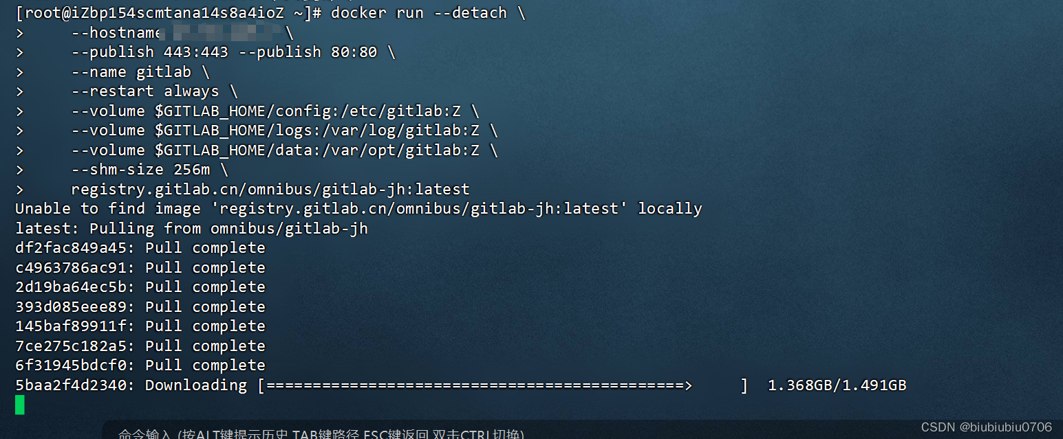 Docker下安装GitLab_docker 安装gitlab-CSDN博客