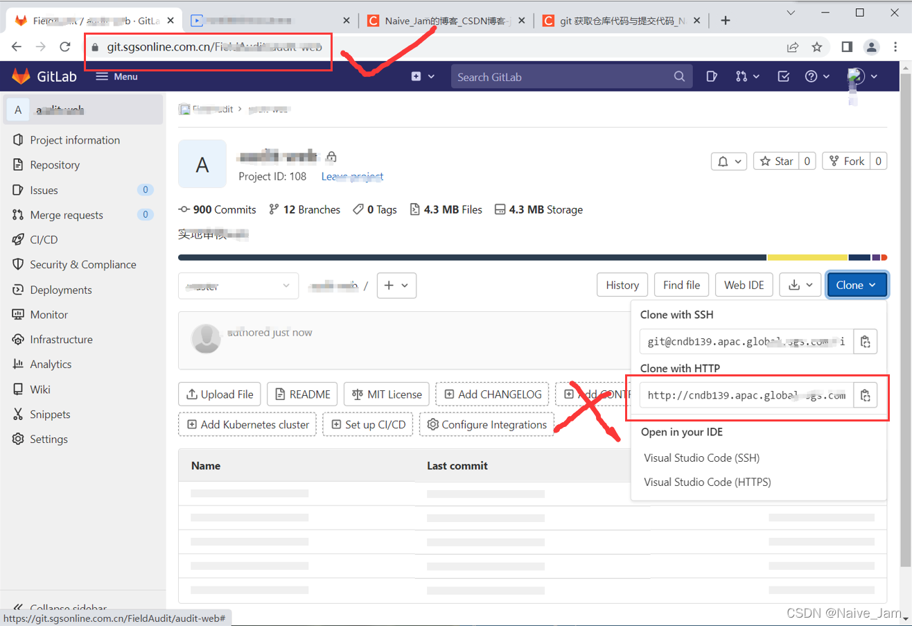 用git clone 在gitLab上拷贝代码，拉不下来_git clone gitlab-CSDN博客