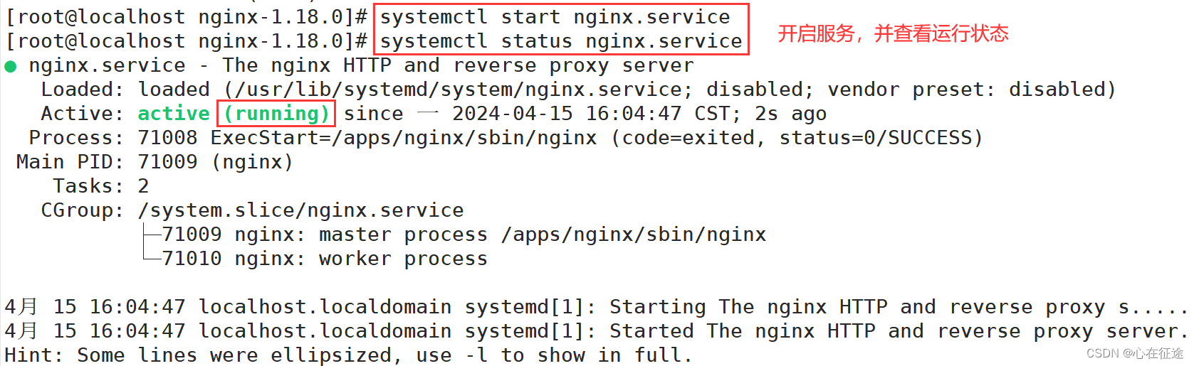 nginx的启动，systemd管理_nginx systemd-CSDN博客