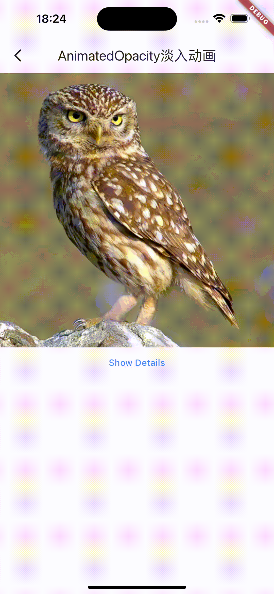 极简实现酷炫动效：Flutter隐式动画指南第一篇之隐式动画的简介_flutter 动画效果-CSDN博客