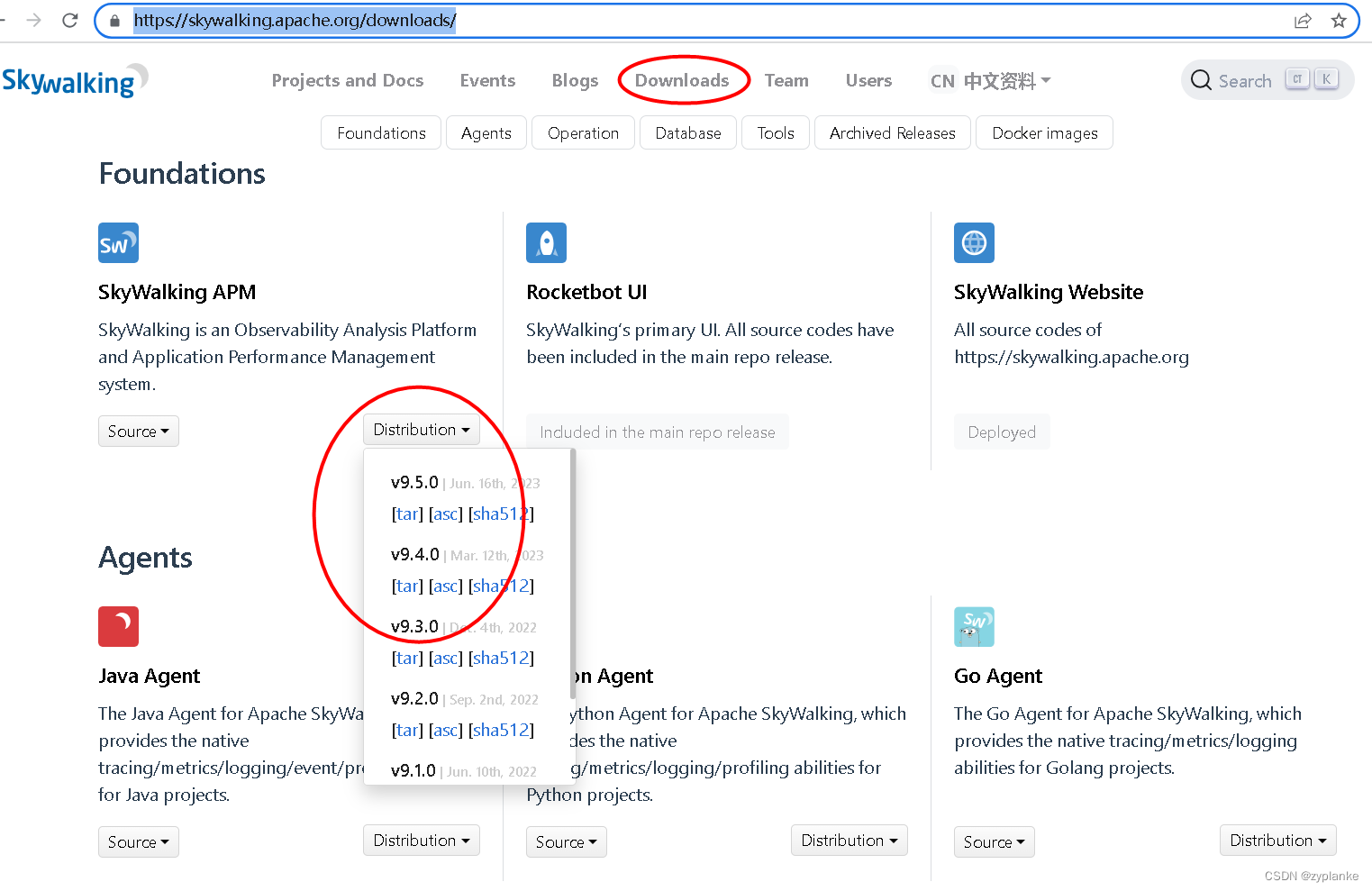 7.SpringCloud：Skywalking链路追踪和OpenTracing对接_springcloud skywalking-CSDN博客