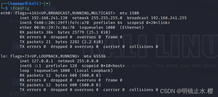 Kali Linux（Debian）安装FTP服务器vsftpd教程_debian vsftpd-CSDN博客
