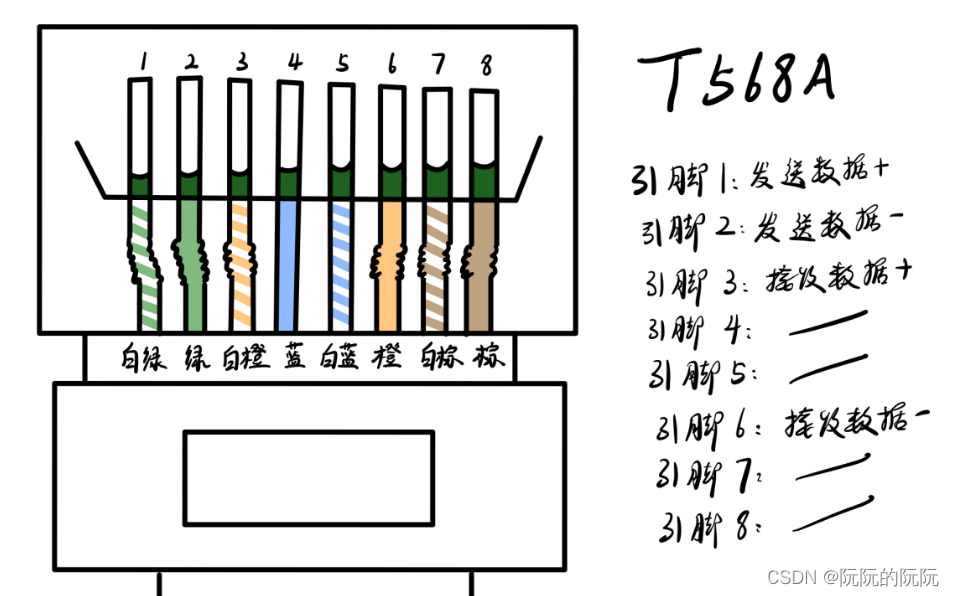 计算机网络——实验1：网线制作和局域网组建_计算机网络原理网线实践-CSDN博客