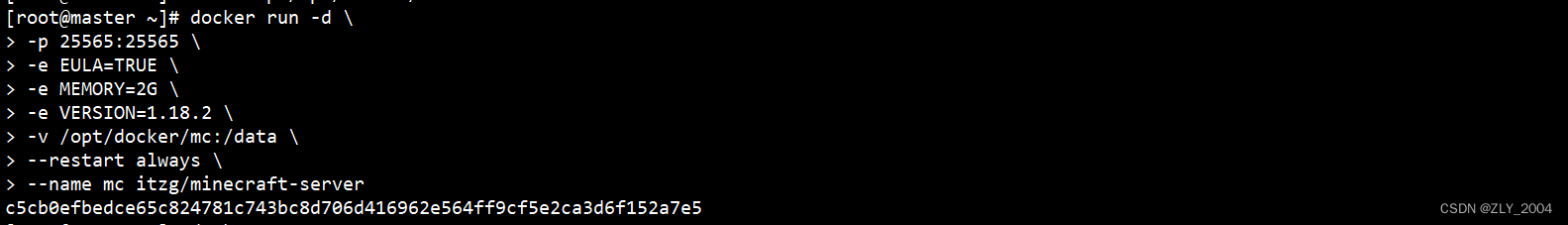 Docker 搭建原版服务器_docker mc服务器-CSDN博客