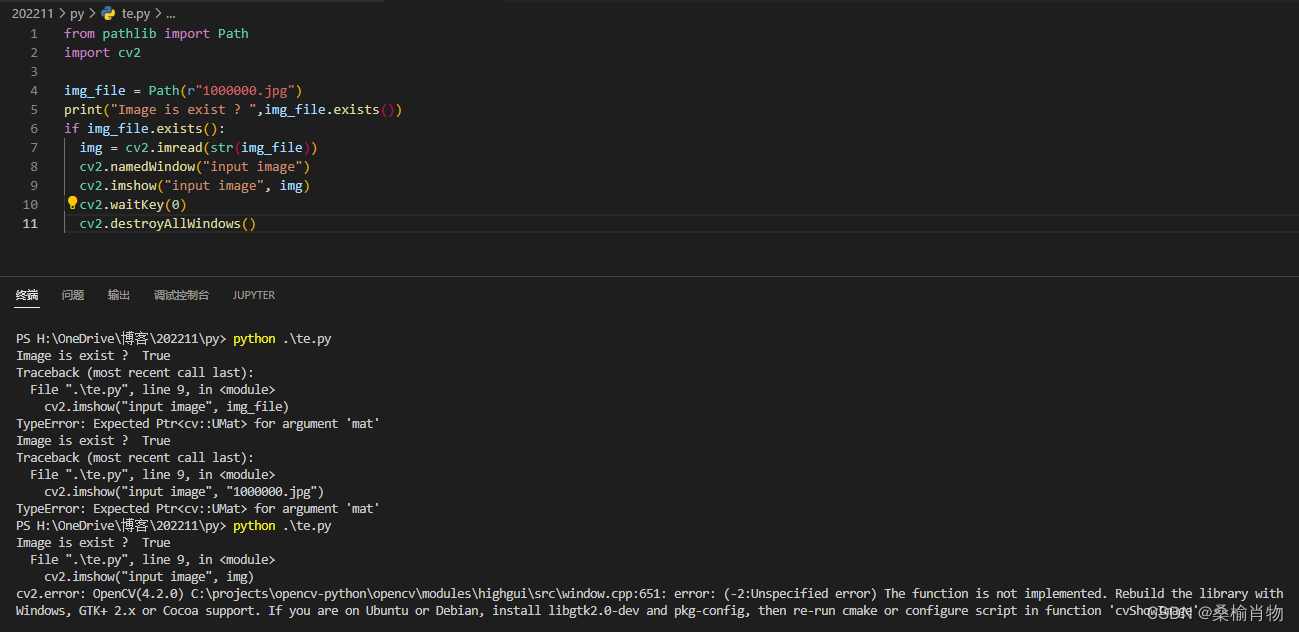 OpenCV 无法读取图片进行显示，error: (-2:Unspecified error) The function is not implemented_error: (-2 ...