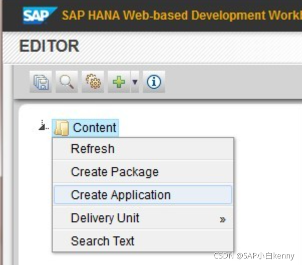 SAP HANA 基于Web的IDE的配置及使用_idea连接hana-CSDN博客