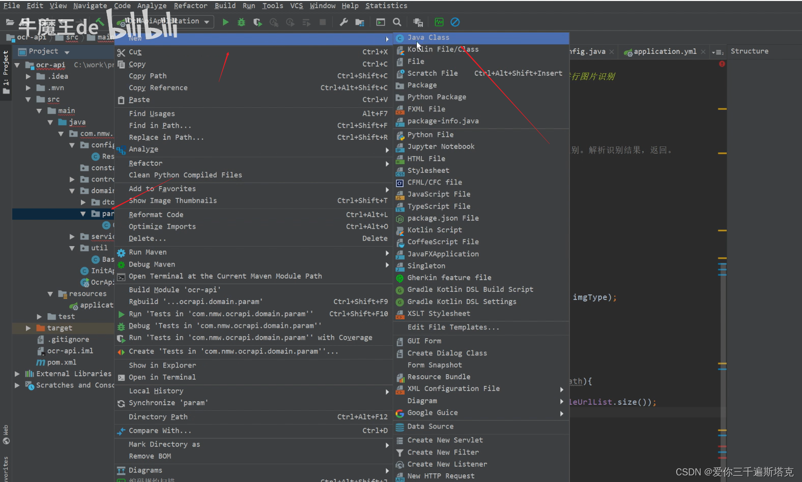 文本，文识10，springBoot提供RestTemplate以调用Flask OCR接口，调用flask实现ocr接口，用paddleocr进行图片识别云服务技术，单个paddleocr ...