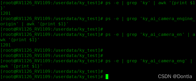 linux c语言中如何通过进程名获取进程PID（awk命令行指令）popen、pclose（popen获取当前路径pwd函数）_c语言获取进程pid-CSDN博客