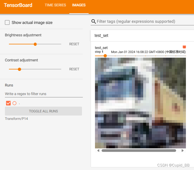 torchvision中的数据集使用_torchvision中的小数据集-CSDN博客