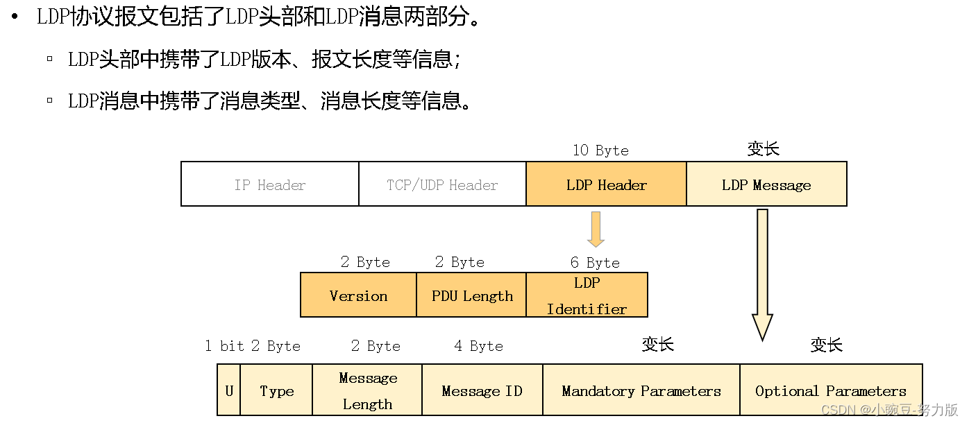 MPLS LDP原理与配置-CSDN博客