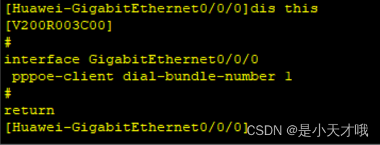 广域网-PPPoE基础配置_dialer bundle-CSDN博客