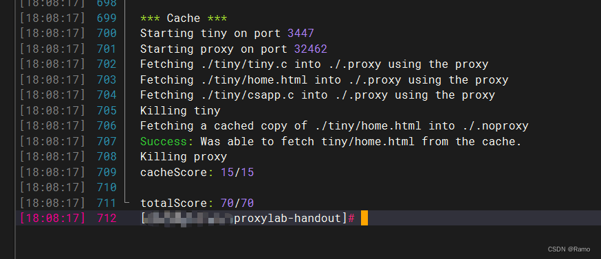 代理服务器实验记录_proxylab实验-CSDN博客