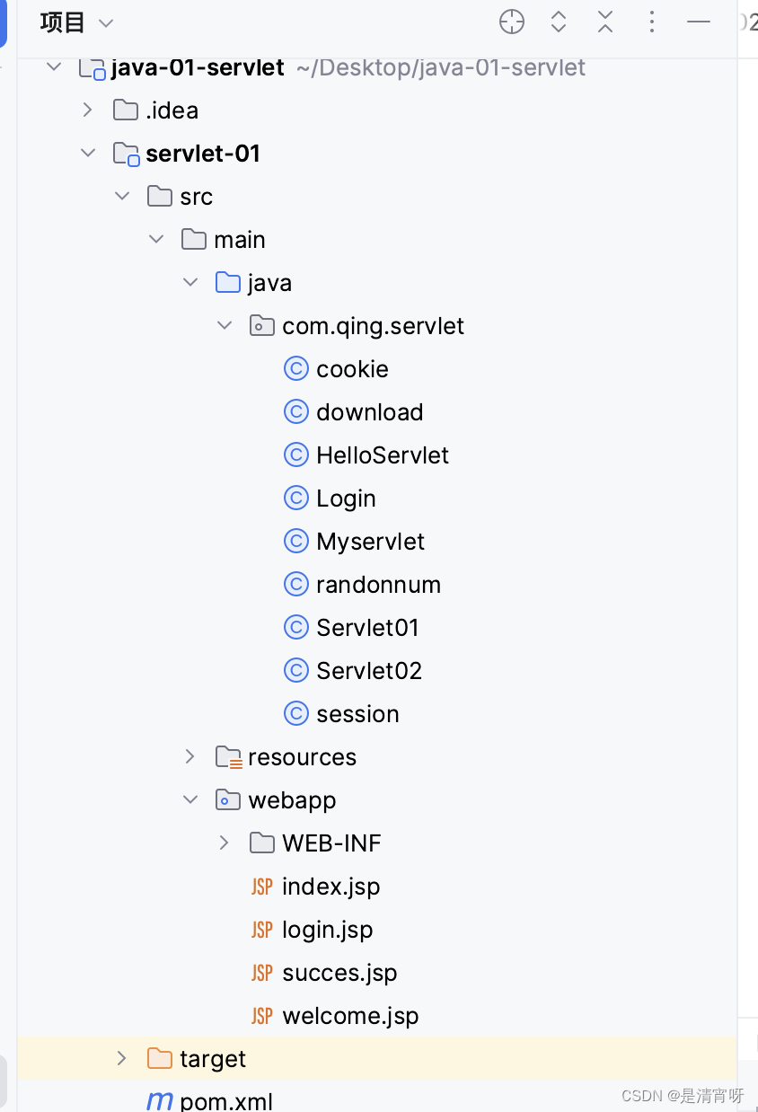 idea:JavaWeb(maven) Servlet 01-CSDN博客