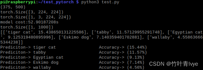 树莓派4B安装pytorch_树莓派4b pytorch-CSDN博客