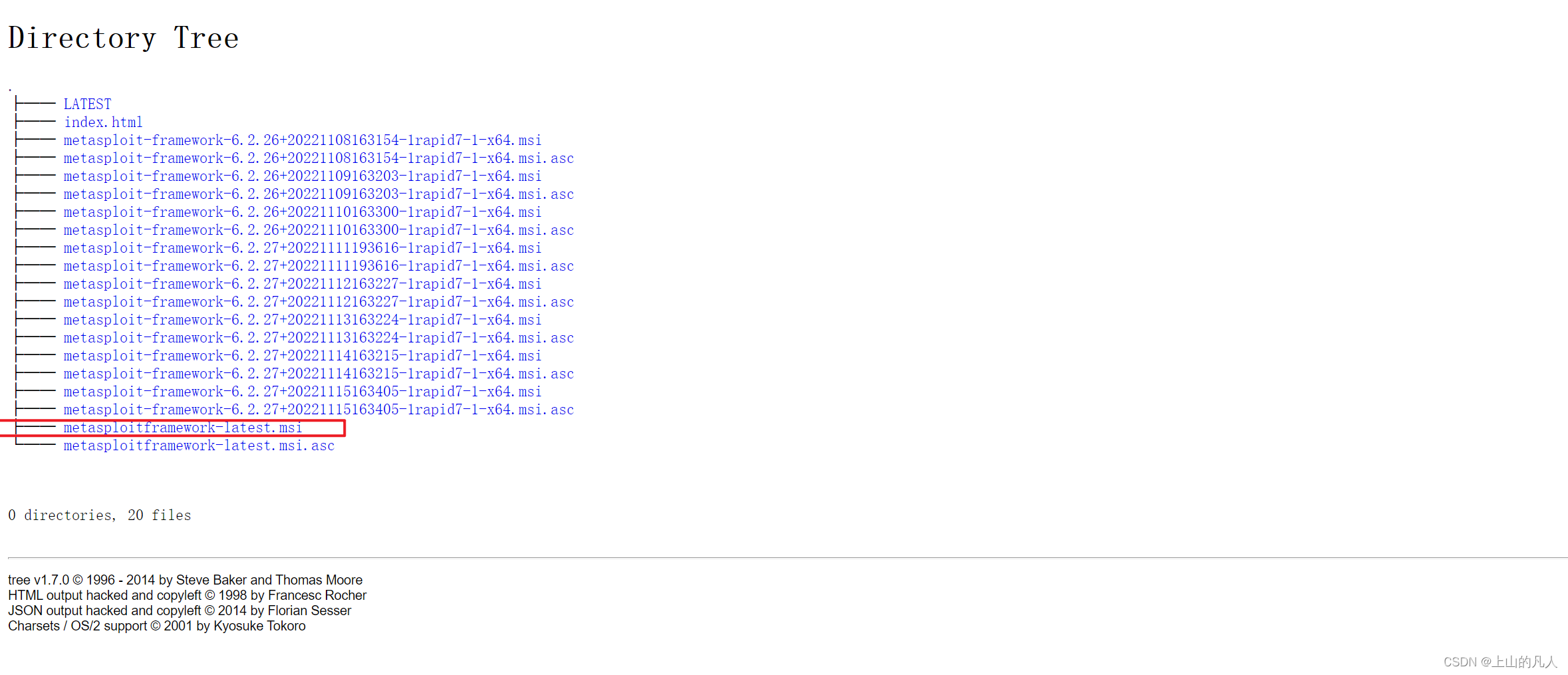 Windows系统下安装Metasploit_metasploit windows-CSDN博客