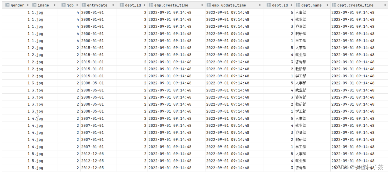 【web开发】第12节：Mysql：多表查询_websql 表间查询-CSDN博客