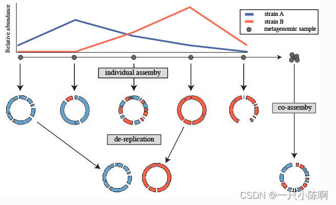 基因组去冗余主流软件安装_cd-hit去冗余-CSDN博客