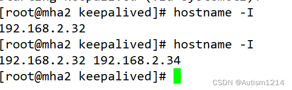 keepalived与mysql搭建VIP漂移-CSDN博客