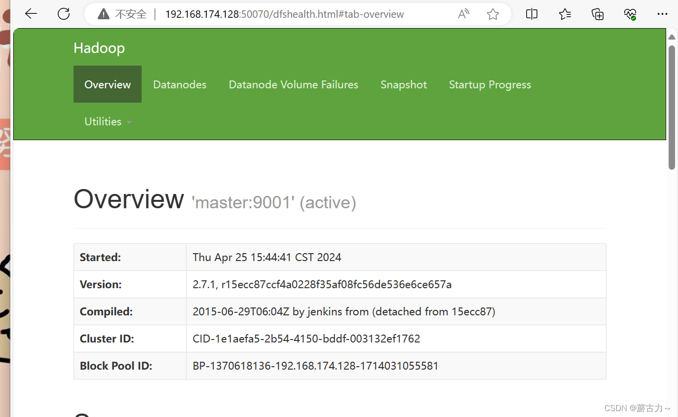 hadoop上的spark和Scala安装与配置_hadoop集群安装scala-CSDN博客