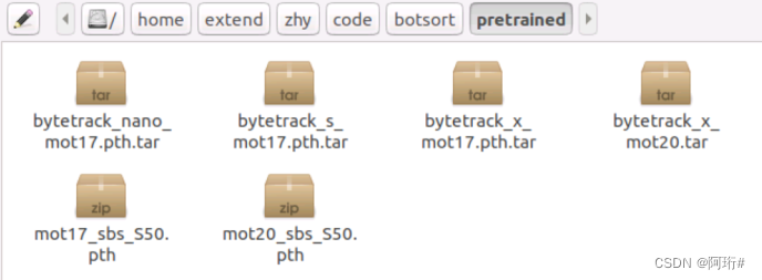 BOT_SORT复现（Ubuntu20.04）_bot sort-CSDN博客