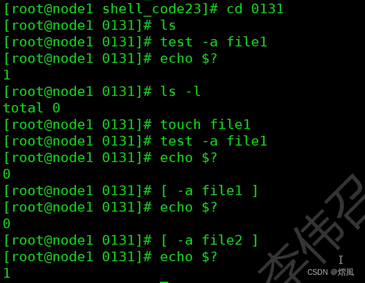 Shell条件测试详解：基本语法与实践,-CSDN博客