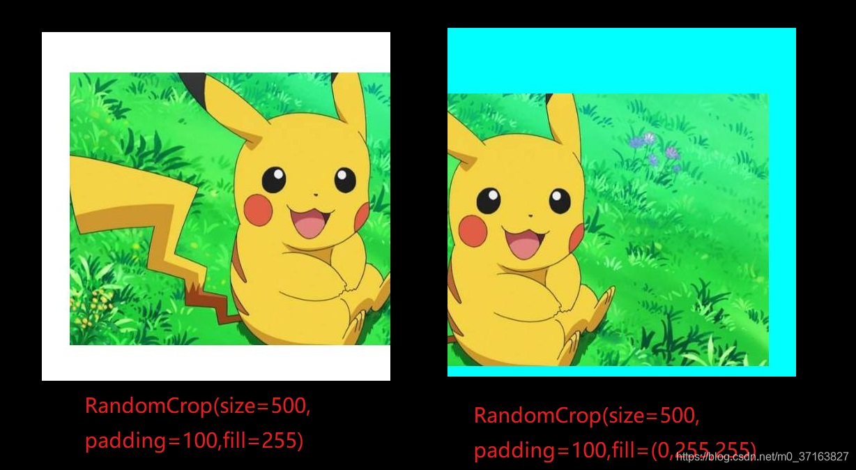 TORCHVISION.TRANSFORMS的图像预处理_torchvision.transforms.tencrop-CSDN博客