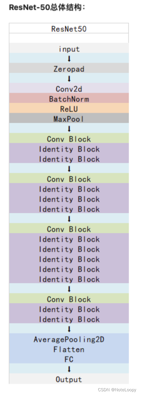 卷积神经网络（ResNet-50）鸟类识别_restnet50-CSDN博客