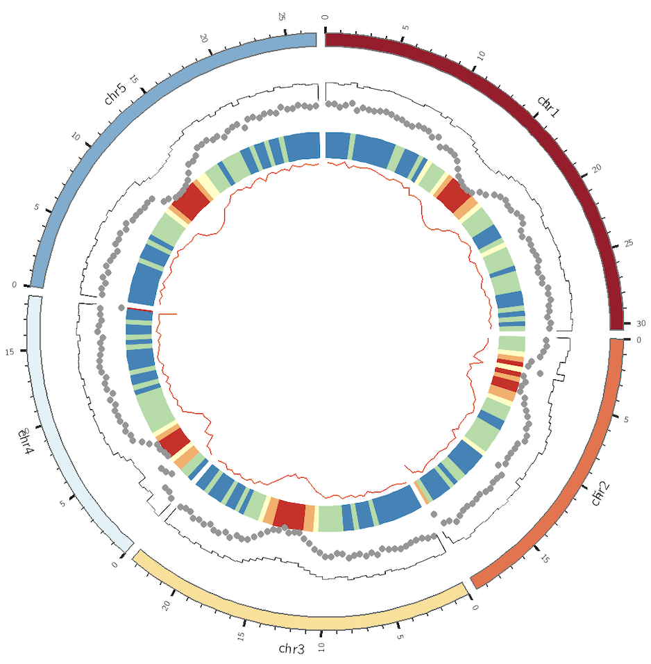 从零开始学CIRCOS绘制圈图(三)-CSDN博客