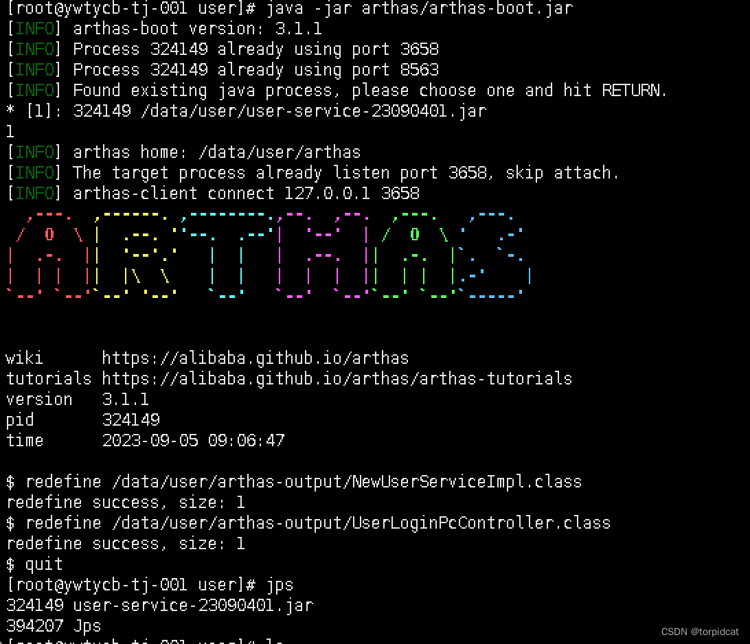 linux jar包class热部署 工具 arthas安装及使用_arthas.jar-CSDN博客