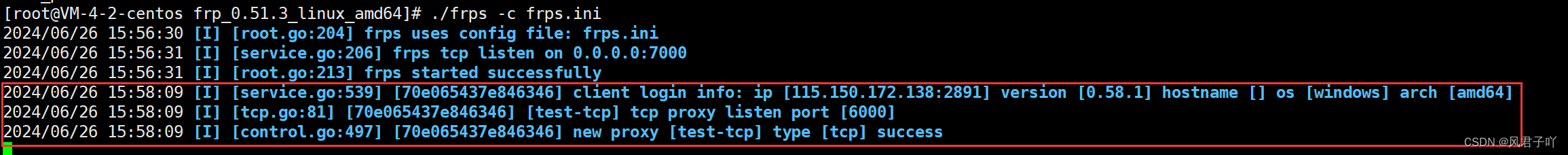 内网穿透_frp的使用_natfrp怎么用-CSDN博客