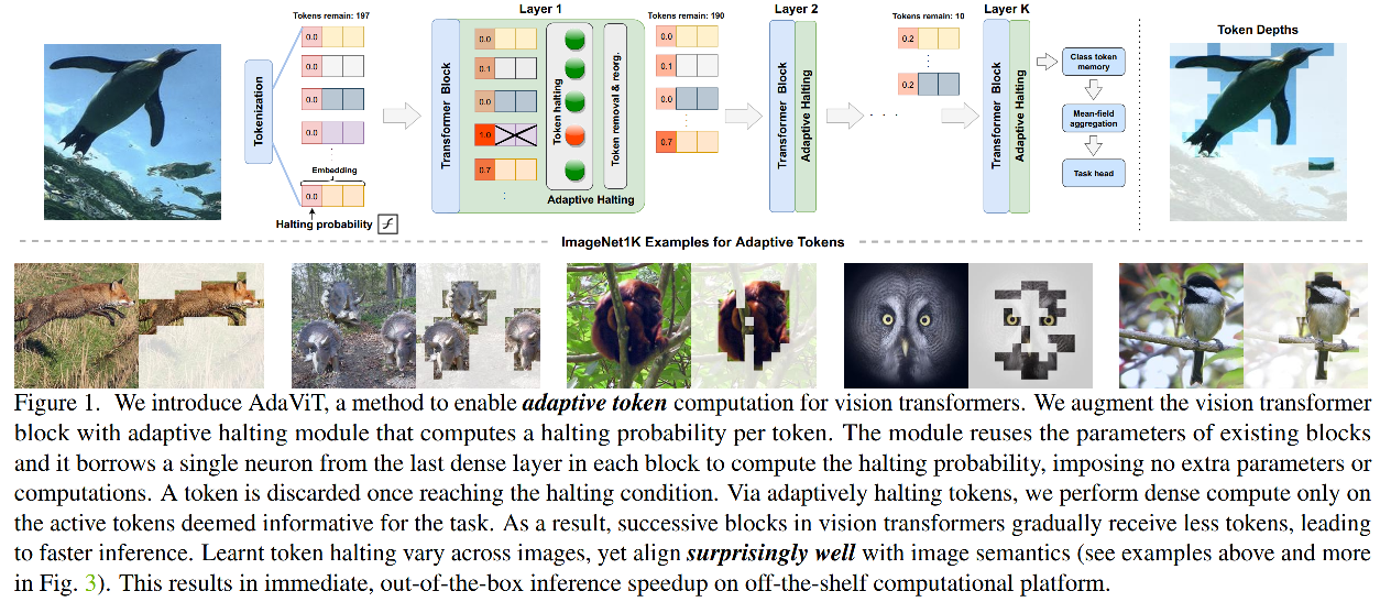 【Transformer】21、AdaViT: Adaptive Tokens for Efficient Vision Transformer_halting score-CSDN博客